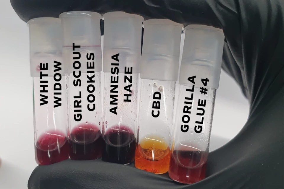 HHC vs THC (2026): Effects, High, Potency & Drug Test