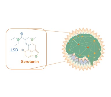 The science of LSD